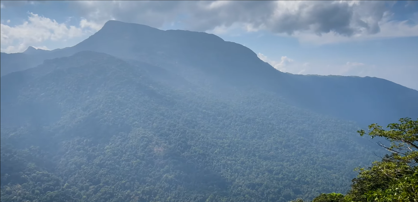 Bisle Ghat in Every Season: A Local Guide to the Changing Face of the ...